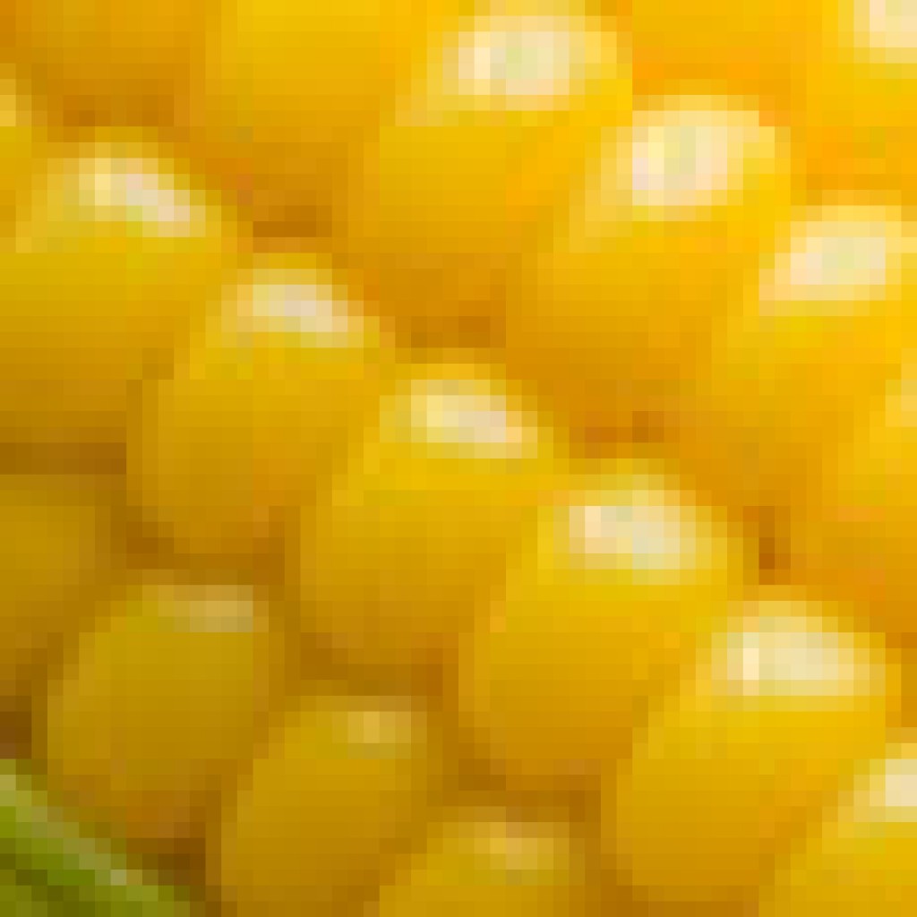 mais - Semences de France