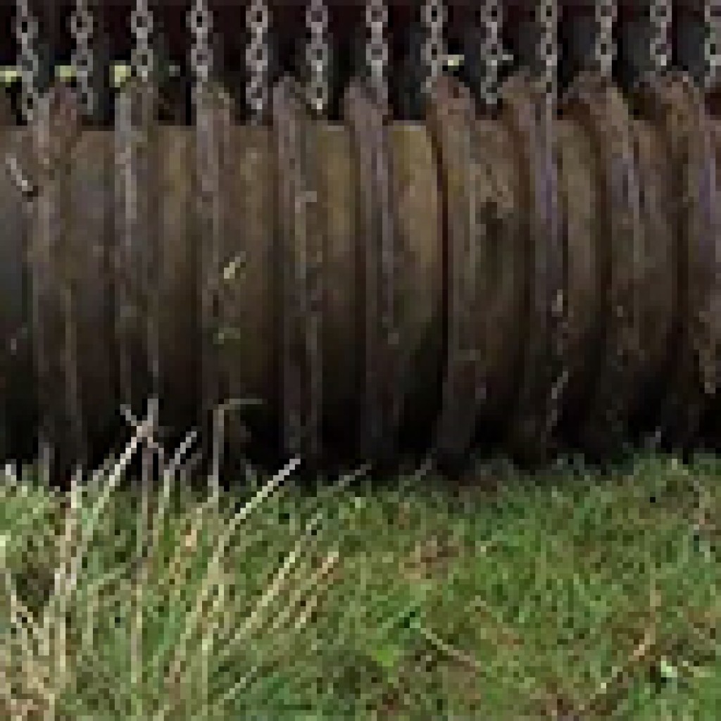 Réussir un sursemis de légumineuses en prairies installées - Semences ...