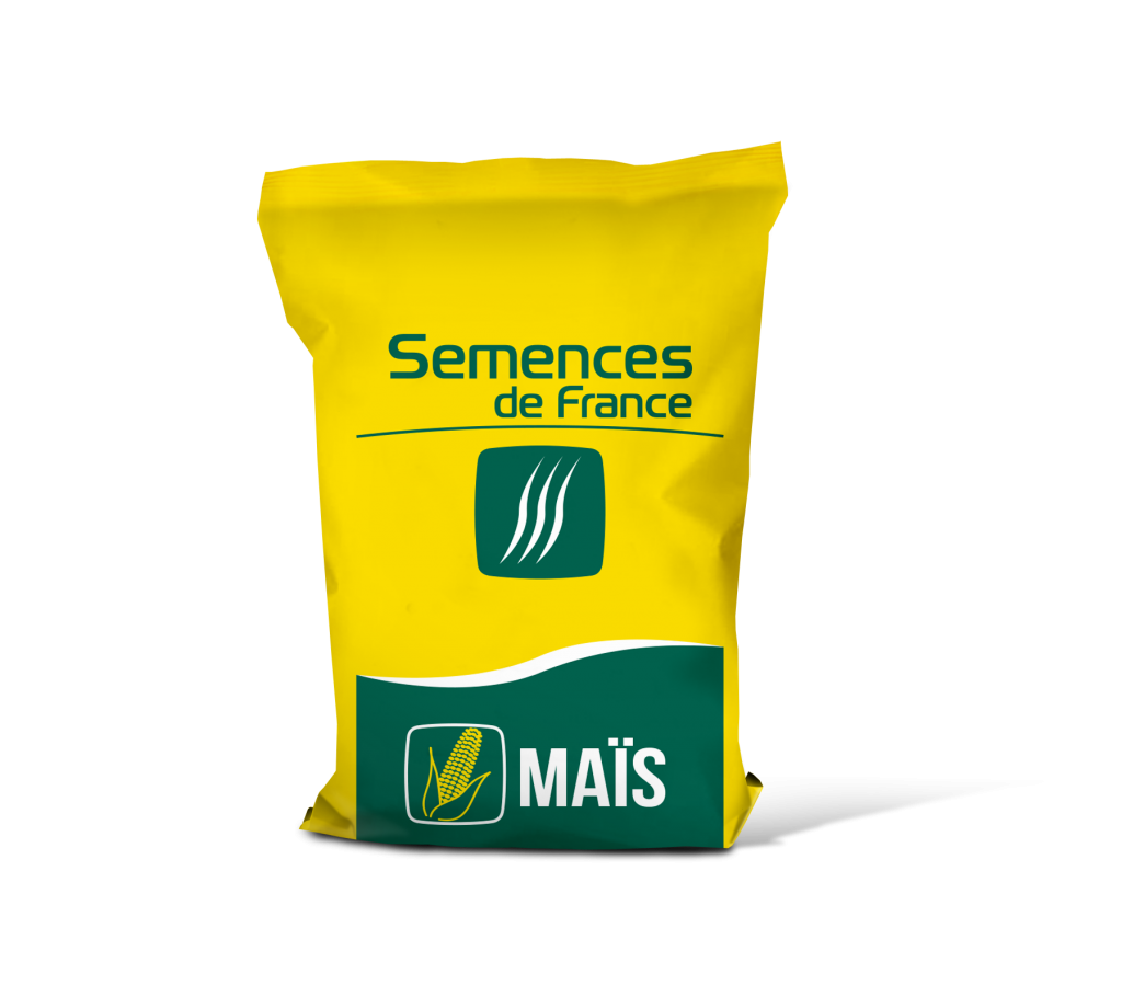 Maïs Semences de France: Un record en nombre d’inscription - Semences ...