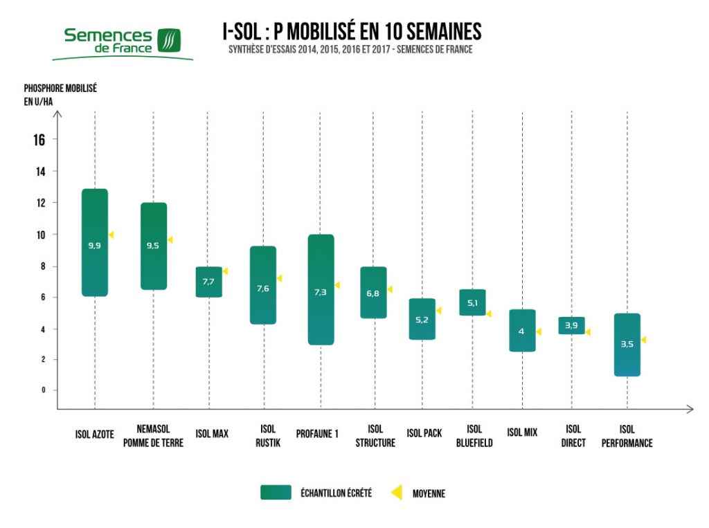 iSol solutions d’intercultures – Amendement - Semences de France