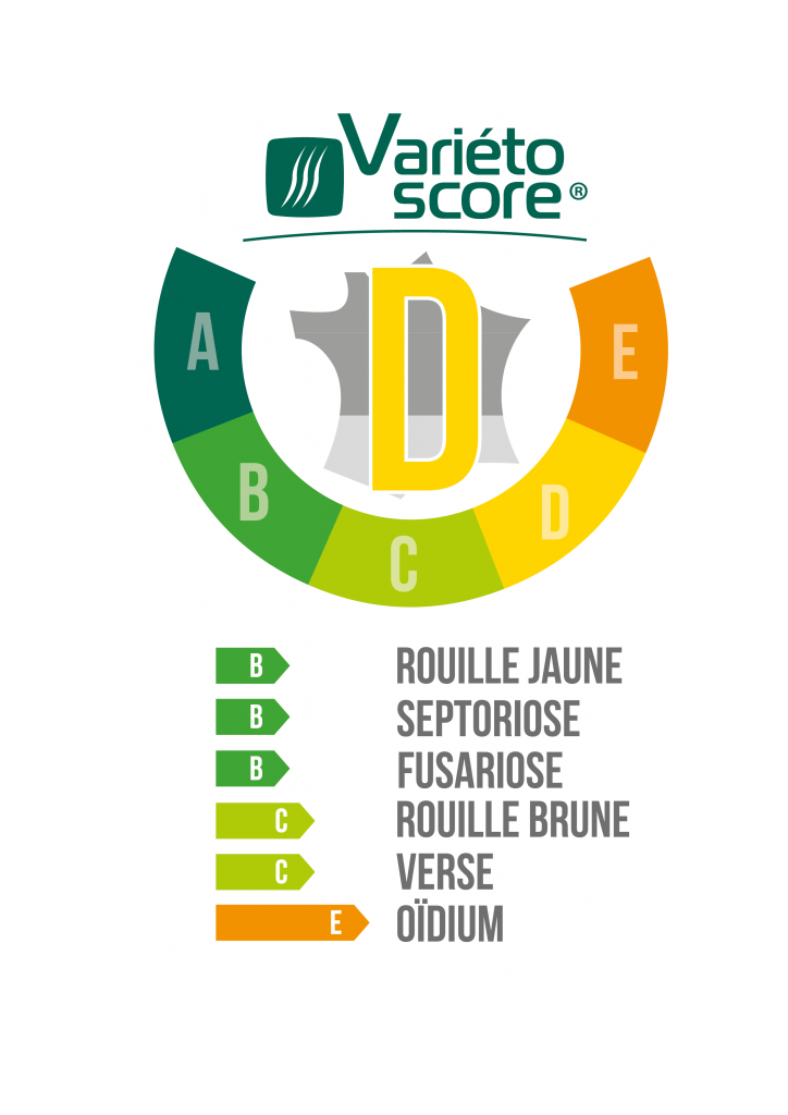 varietoscoreSDFVersion avril2020_KWS SPHERE - Semences de France