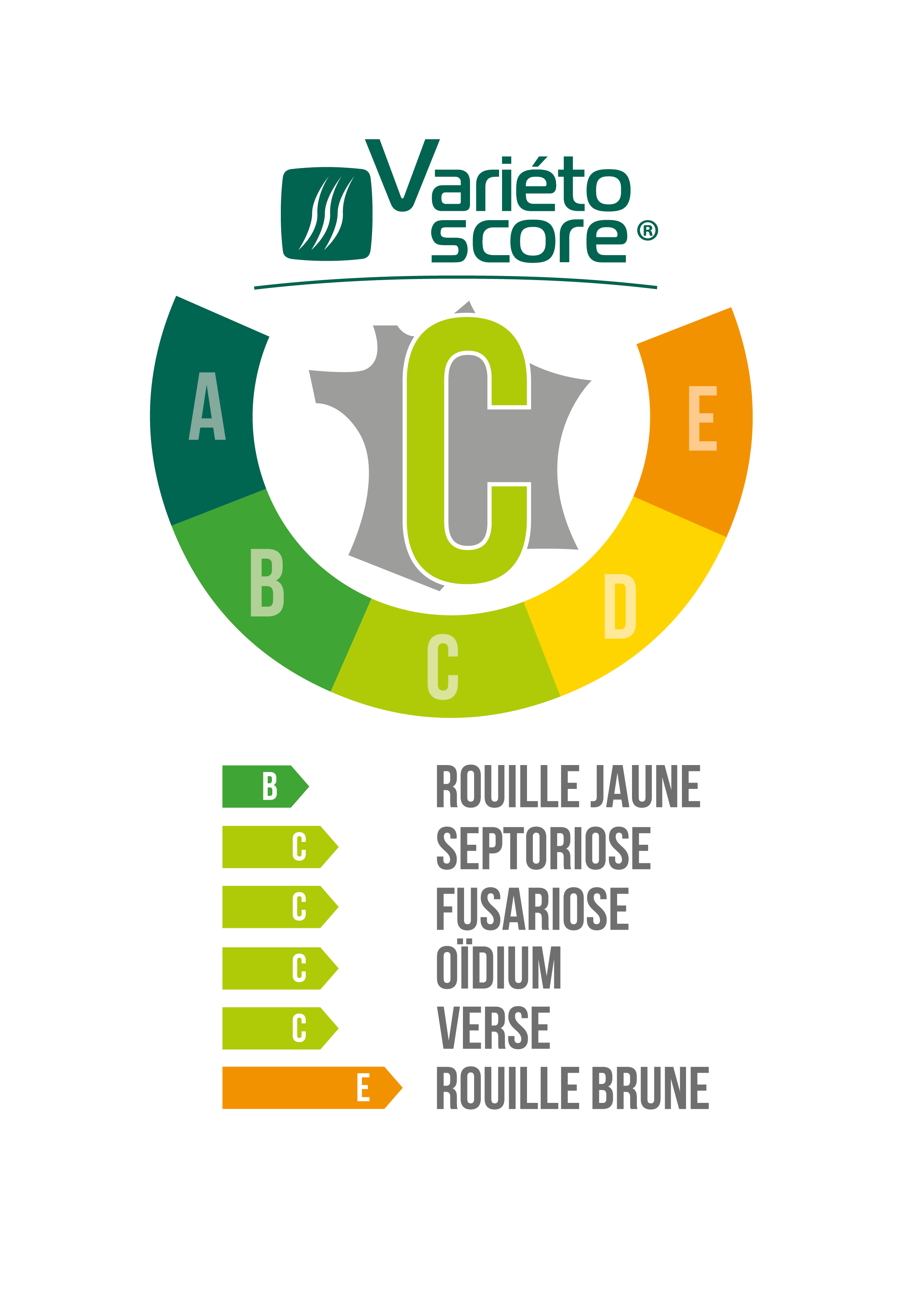 varietoscoreSDFVersion avril2020_TALENDOR - Semences de France